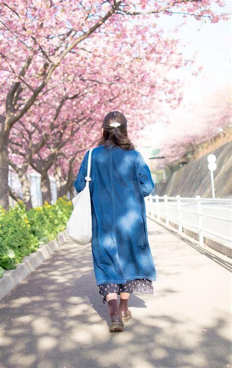 桜の道を歩く女性の後姿の写真素材 ぱくたそ