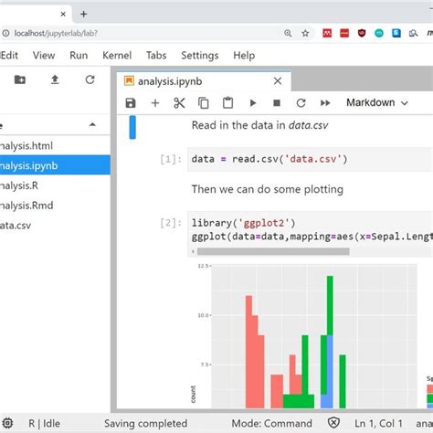 analysis using a code notebook in jupyterlab a jupyterlab can be