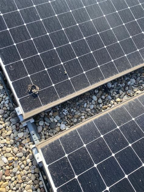Home Zonnepanelen Reinigen Regio Gent And Deinze Zonnepanelen