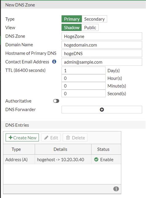 [fortigate] How To Configure Dns [client Server] Network Strategy Guide