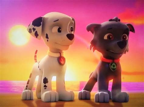 Rocky And Marshall Paw Patrol Relation Ship Wiki Fandom Marshall