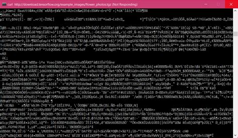 unable to download the training images from curl