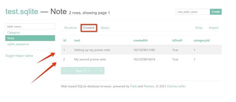 prisma orm how to use the great database mapping package