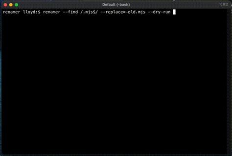 renamer npm