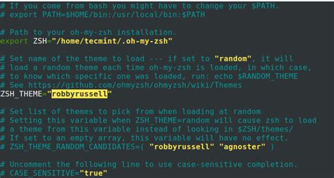uninstalling oh my zsh a step by step guide for removing oh my zsh