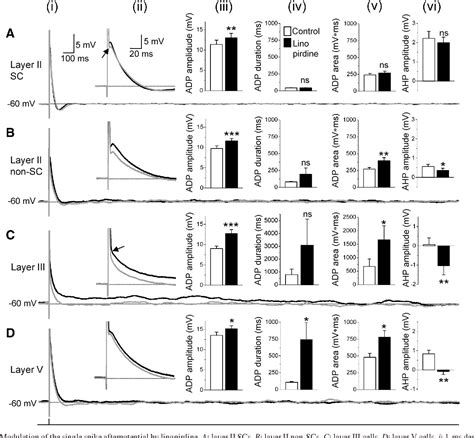 Figure 2 From Cell Type Specific Modulation Of Intrinsic Firing