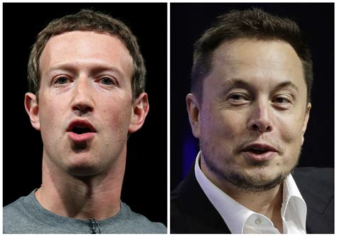 Elon Musk And Mark Zuckerberg Agree To Fight In A Cage Match
