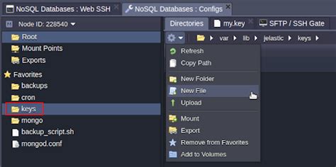 mongodb replication and automated failover configuration guide jelastic