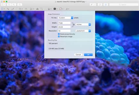 7 best methods to compress and resize photos on mac with ease