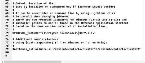 how to install netbeans 9 for jdk 9 development ethical hacking and