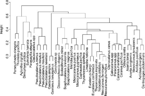 cluster dendrogram based on functional traits using average linkage
