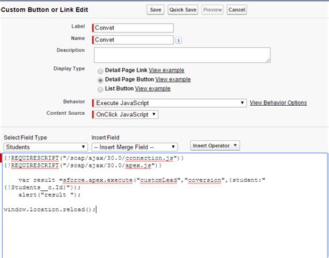 salesforce punk how to call apex class from custom button javascript