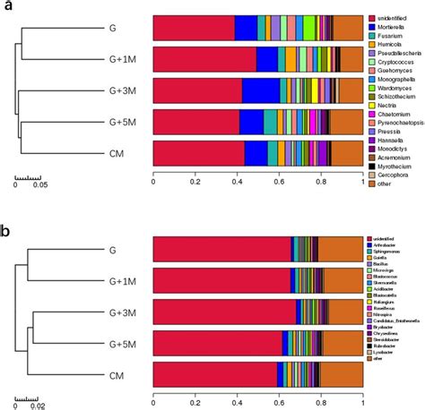 fungal a and bacterial b major genus compositions and