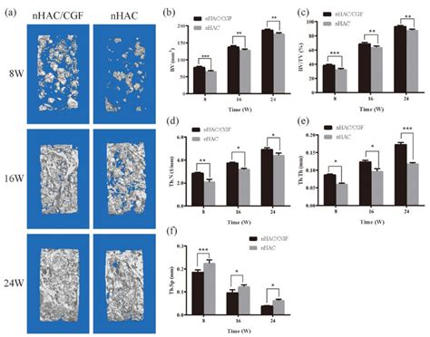 New Bone Formation In Vivo A Representative 3d Micro Ct Images