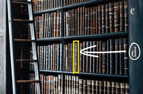 working with indexes in mysql 365 data science