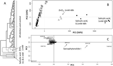 principal component analysis pca and hierarchical clustering hca of