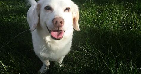 My Best Bud Luke Imgur