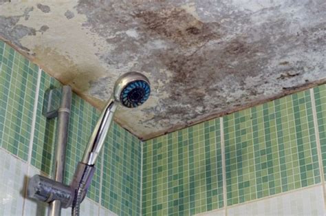 How I Prevent Mold On Bathroom Ceilings Lopco Contracting Ri
