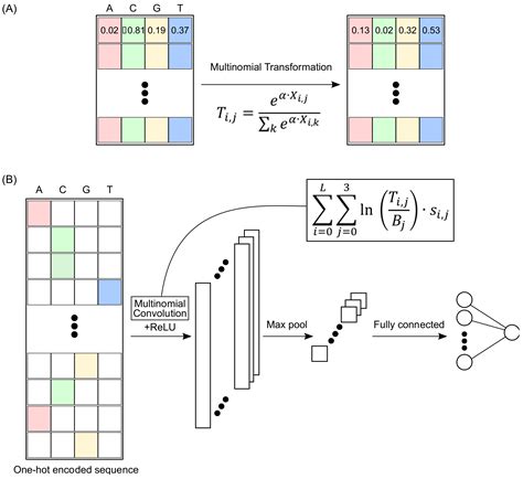 genes free full text multinomial convolutions for joint modeling of
