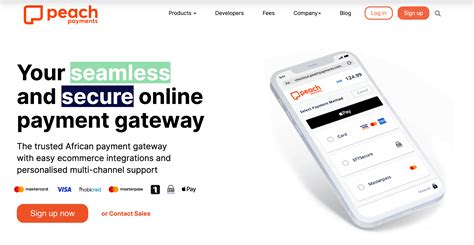 payment gateway peach payments