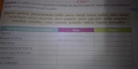 Algunas De Las Especies De Mariposas Que Habitan En Honduras Porn Sex