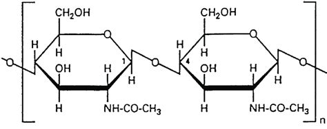 chemical structure of chitin lertsutthiwong et al 2002 download