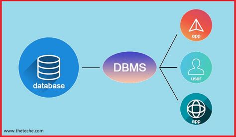 workers behind the scene in dbms databases and database users