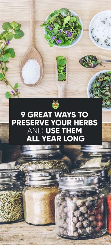 9 Great Ways To Preserve Your Herbs And Use Them All Year Long Healing