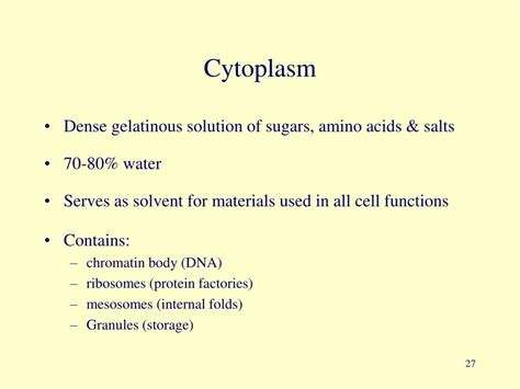 Ppt Prokaryotic Profiles The Bacteria And The Archaea Powerpoint