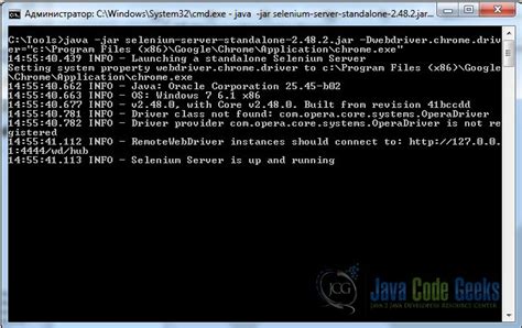 selenium standalone server example examples java code
