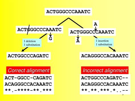 Ppt Alignment Of Nucleotide And Amino Acid Sequences Powerpoint