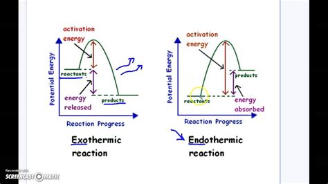 Exothermic Reaction Diagram