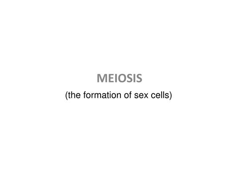 Ppt Meiosis Powerpoint Presentation Free Download Id 2796688