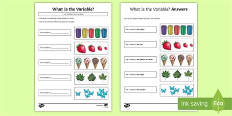 Whats The Variable Worksheet Worksheet Teacher Made