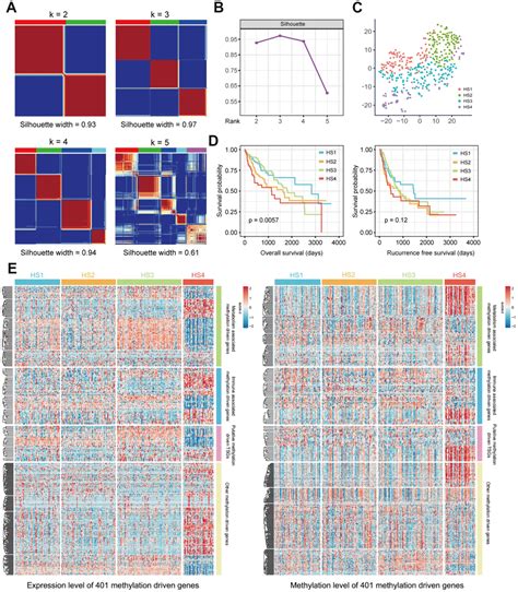 Integrative Analysis Of Dna Methylation And Gene Expression Reveals