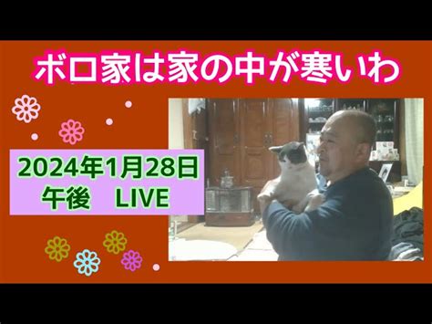 ボロ家は家の中が寒いわ（2024年1月28日） 日本人で良かった｜youtubeランキング
