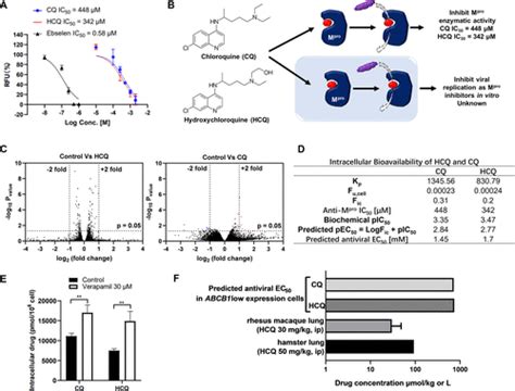 Predicting In Vitro And In Vivo Anti Sars Cov 2 Activities Of