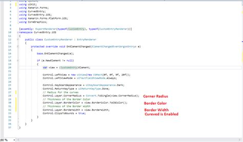 xamarin forms custom entry