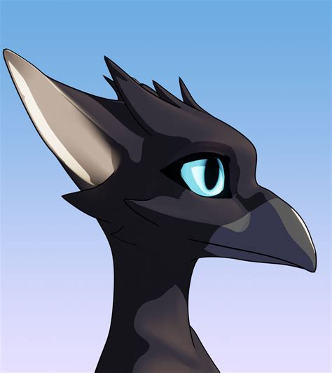 The Big Imageboard Tbib Ambiguous Gender Anthro Avian Beak Black