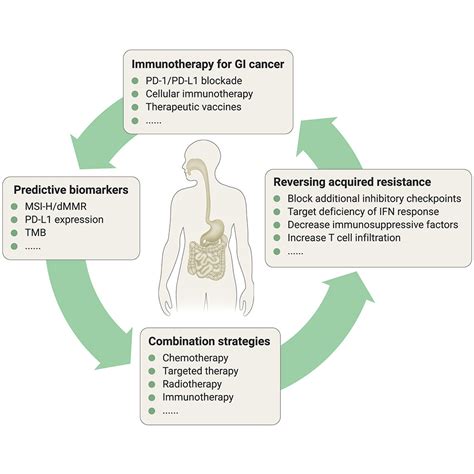 Current Status And Future Perspective Of Immunotherapy In