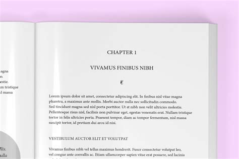 Paperback Book Mockup 6x9 Inch Masterbundles