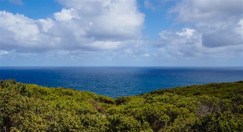 Free Images Beach Landscape Sea Coast Tree Nature Forest Ocean