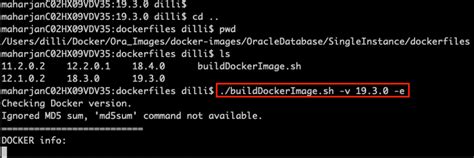 install oracle database 19c in docker container ~ dilli s