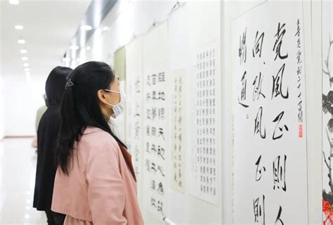 清风拂面！松江这个镇108幅廉政书画作品亮相 澎湃号·政务 澎湃新闻 The Paper