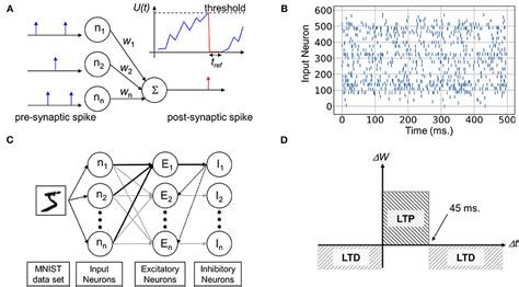 frontiers spiking neural network snn with memristor synapses having