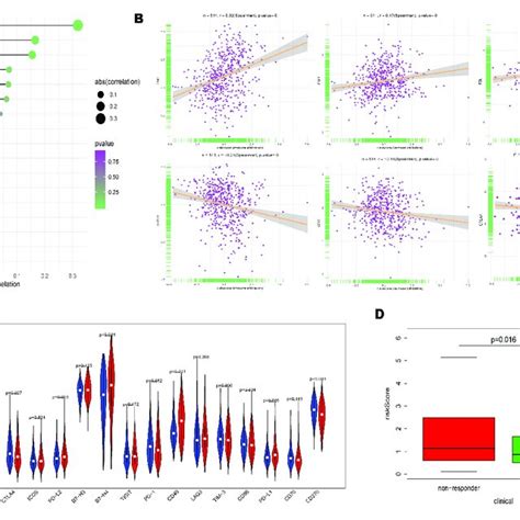 The Tmb Mutation Profile And Msi In High Risk And Low Risk Groups