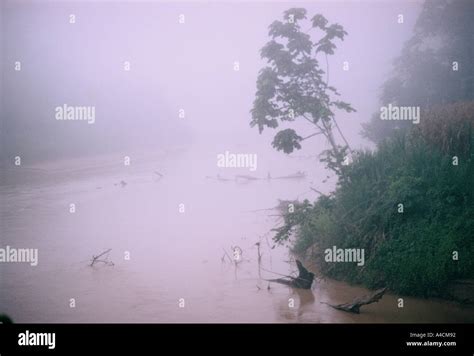 Brazil The Amazon Acre Province Misty Morning On The River Amonia Stock