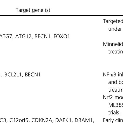 Transcriptional Regulation Of Autophagy In Response To Oncogenic Stress