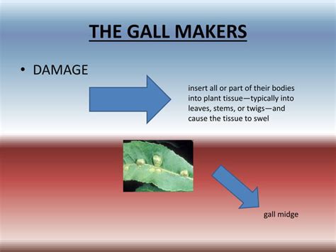 Diagnosis Of Pest Ppt