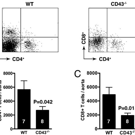 Absence Of Cd43 Dampens The Chronic Inflammatory Responses A